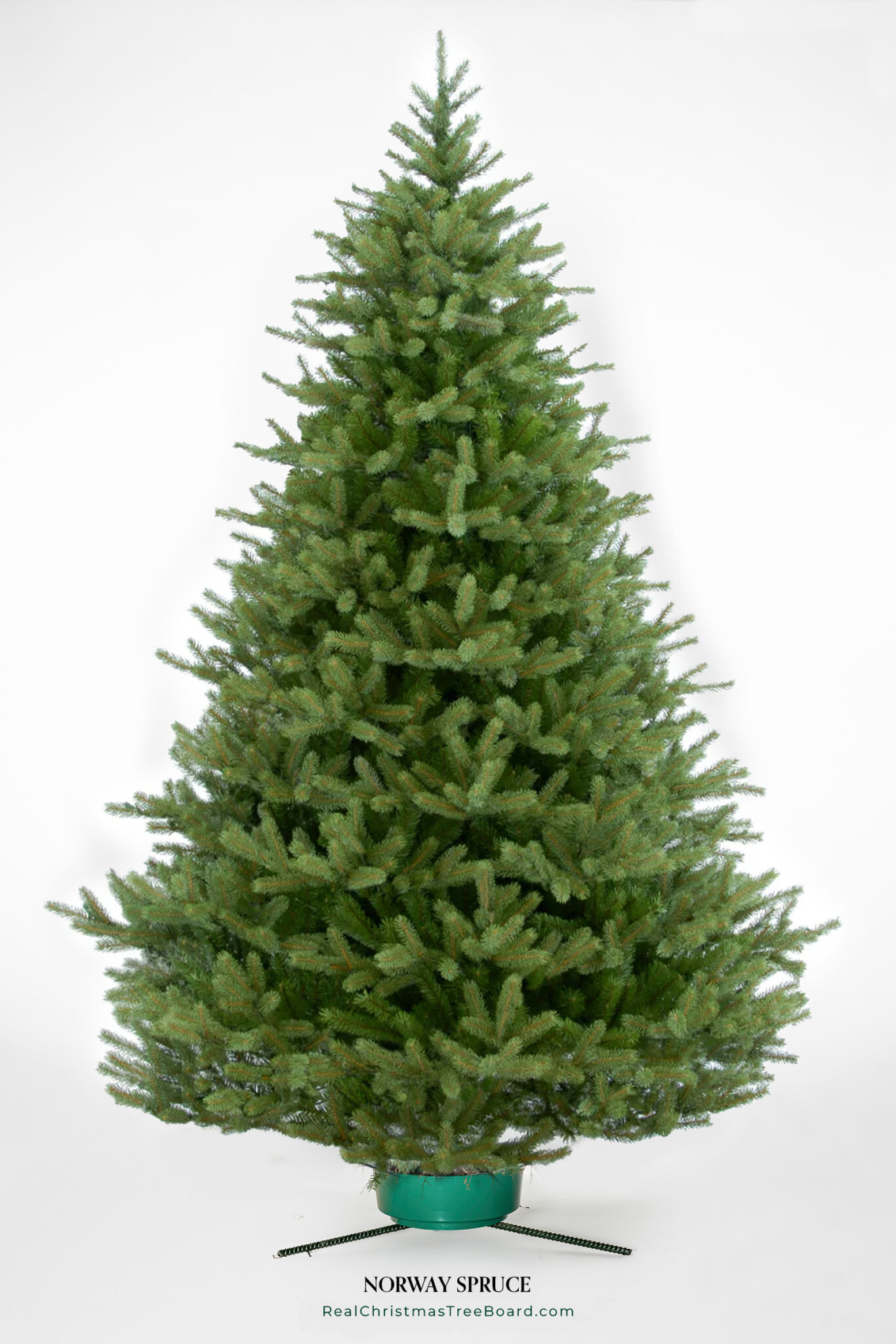 Whispering Pines Tree Farm | Fresh Michigan Christmas Trees in Flushing, MI