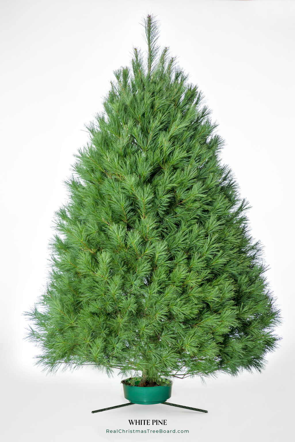 Whispering Pines Tree Farm | Fresh Michigan Christmas Trees in Flushing, MI